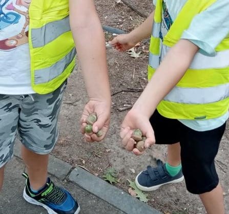 Activități în aer liber la Grădiniță Privată din Sectorul 2